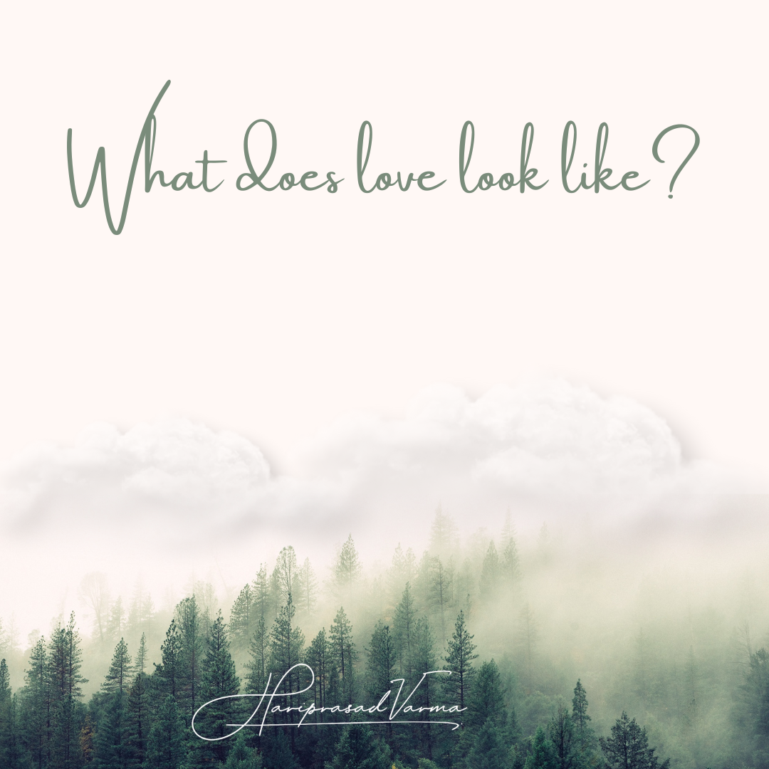 What Does Love Look Like? | Hariprasad Varma